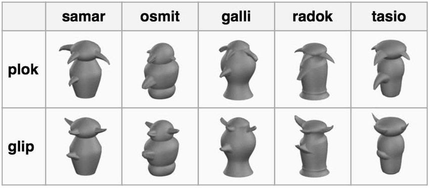 Distinguishing (D) and Systematizing (S) Greebles