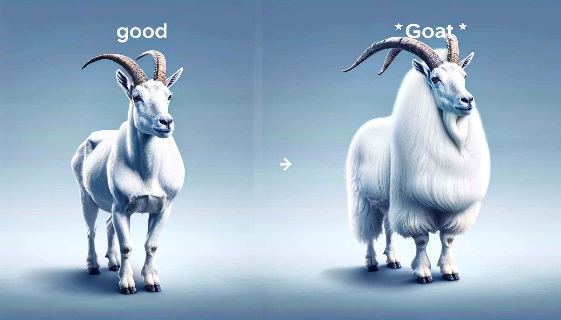 Cabrera Lab Blog | Derek & Laura Cabrera